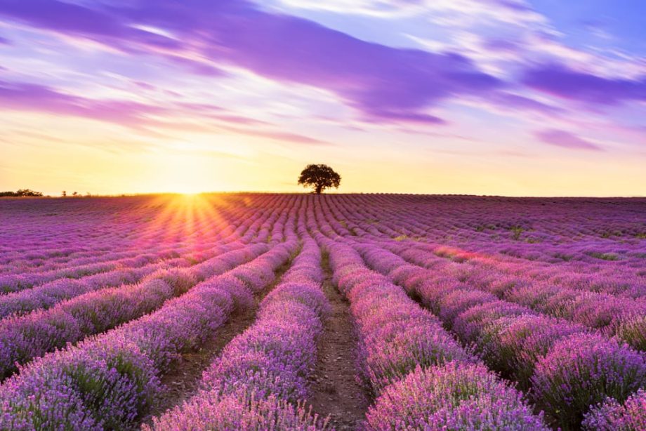 Provence - when to visit? Climate and seasons - Best France travel guide