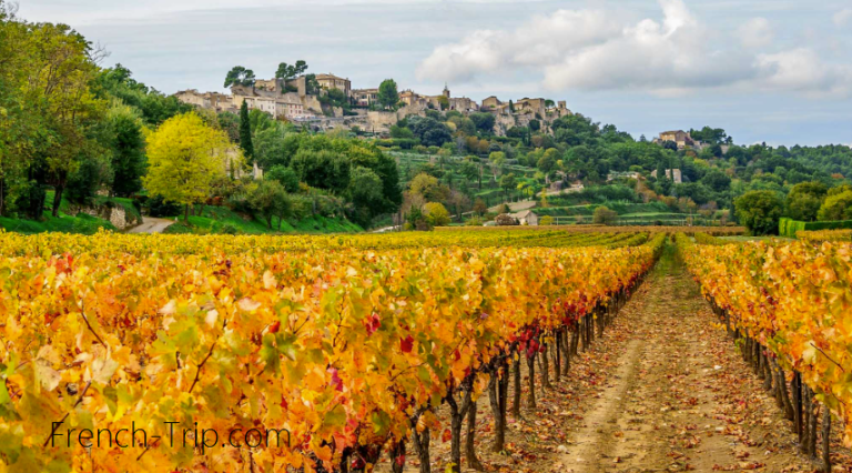 Provence - when to visit? Climate and seasons - Best France travel guide