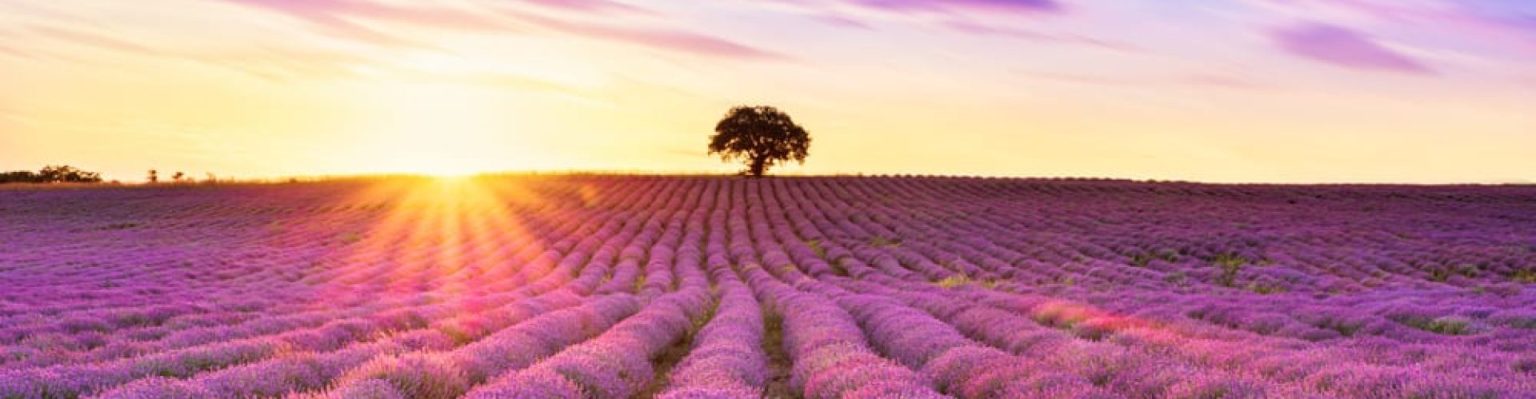 Provence-Alpes-Côte d'Azur - Best France travel guide